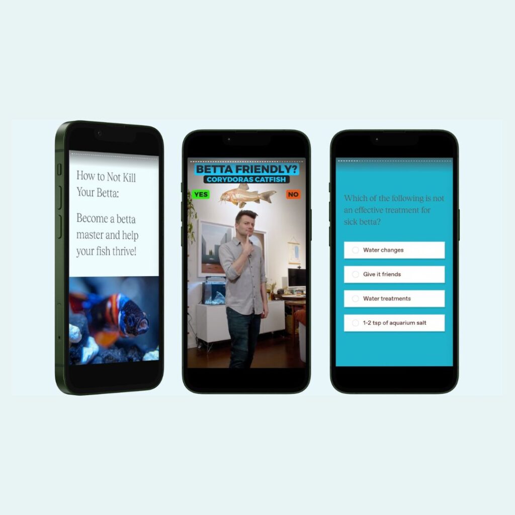 Online Course: A Betta Pro in Your Pocket | Fishkeeping Advice