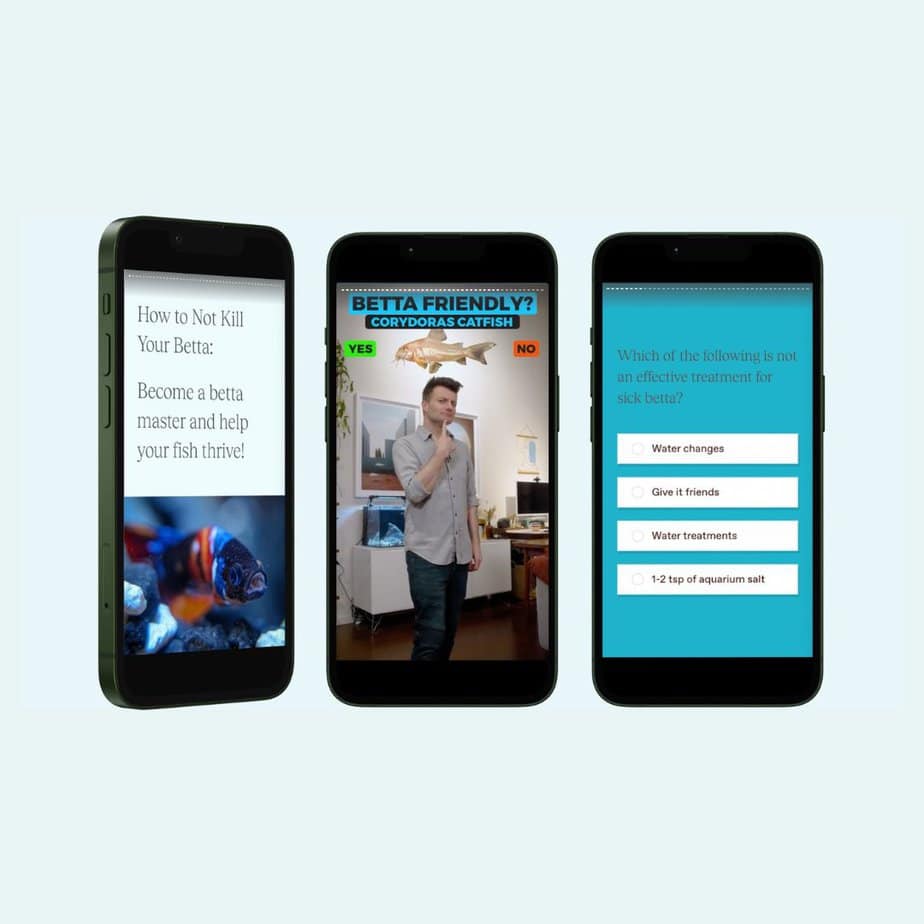 Online Course: A Betta Pro in Your Pocket | Fishkeeping Advice