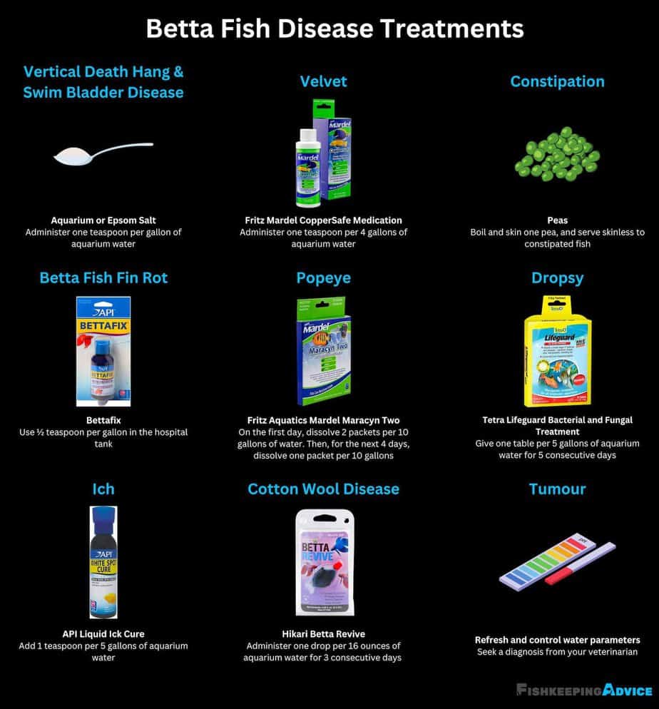 10 Betta Fish Diseases: Symptoms, Treatments & Prevention | Fishkeeping ...