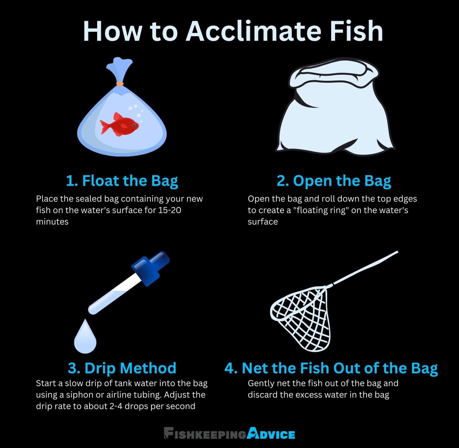 How to Acclimate Fish: A Step-by-Step Guide | Fishkeeping Advice