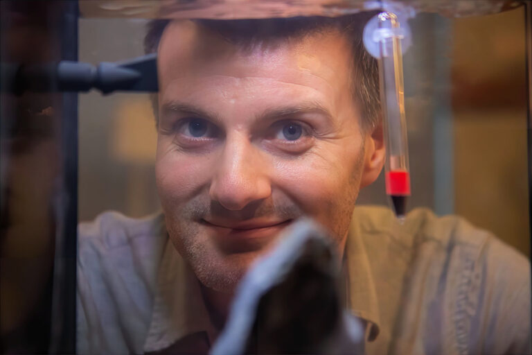 About Fishkeeping Advice | Fishkeeping Advice